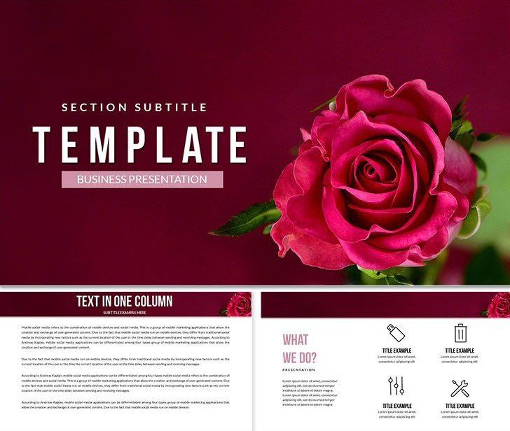 Flowers Rose Keynote Template - Beautifully Presentation