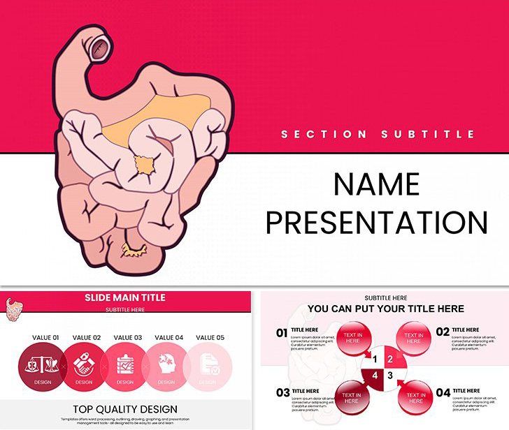 Small Intestine Keynote Template for Anatomy - Nutrient Absorption Slides