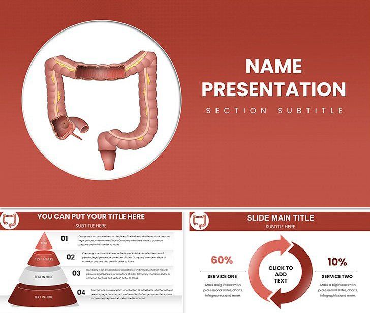 Large Intestine Keynote: Digestive System Guide