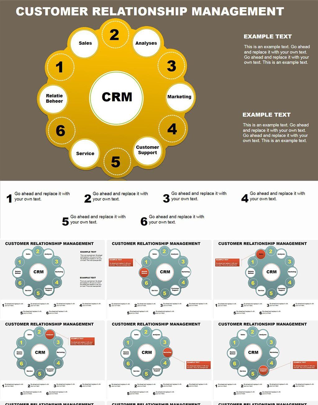 Customer Relationship Management PowerPoint Charts