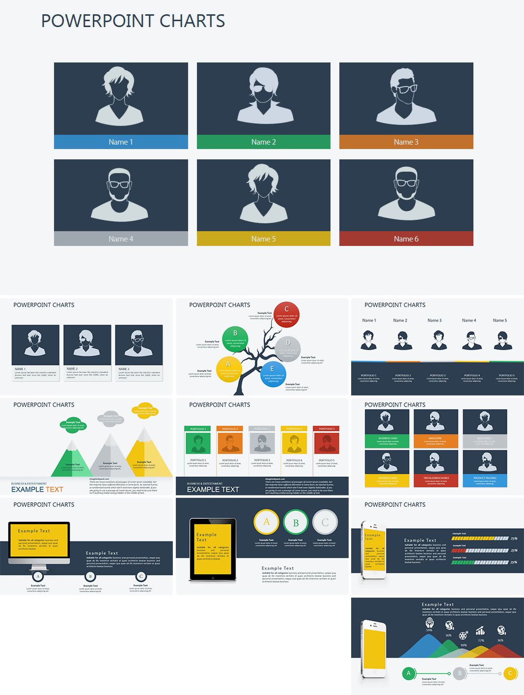 Network Graph PowerPoint Charts Template - Presentation