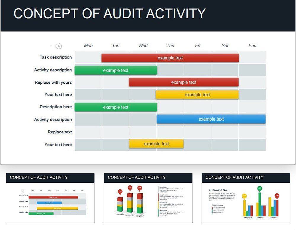Concept of Audit Activity PowerPoint Charts | Download PPTX