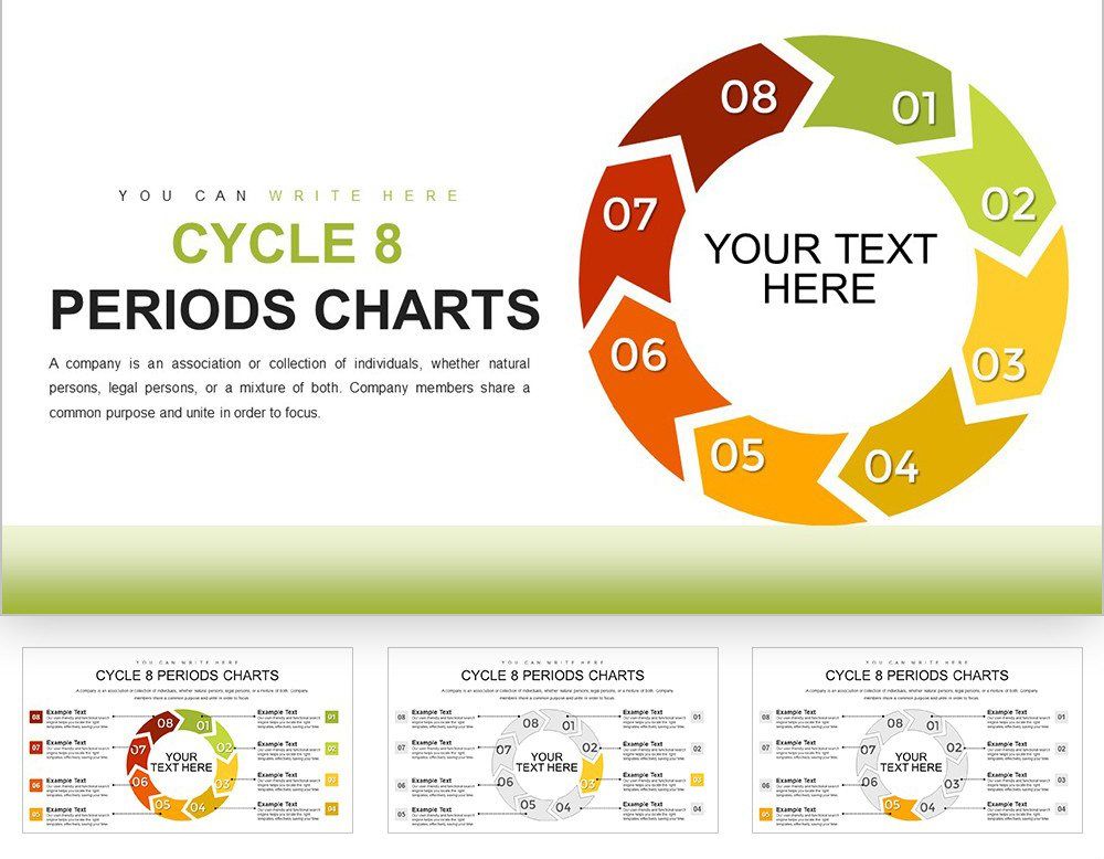 Cycle - 8 Periods PowerPoint Charts | Download Template
