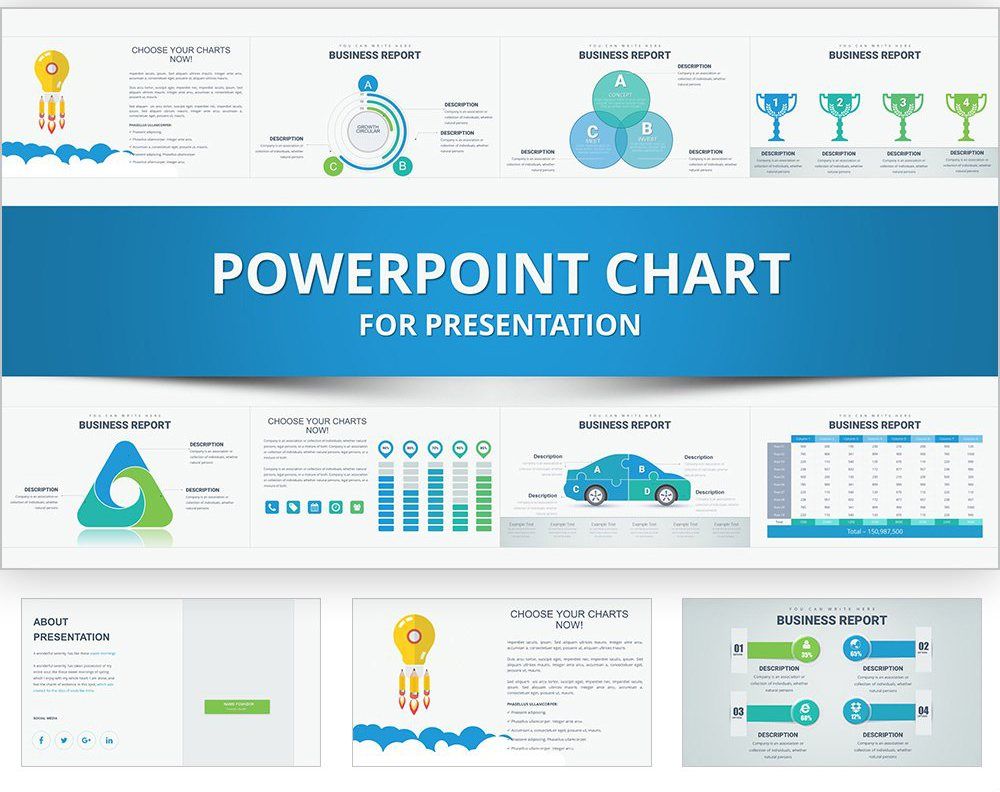 Best Choice Professional PowerPoint Charts Template
