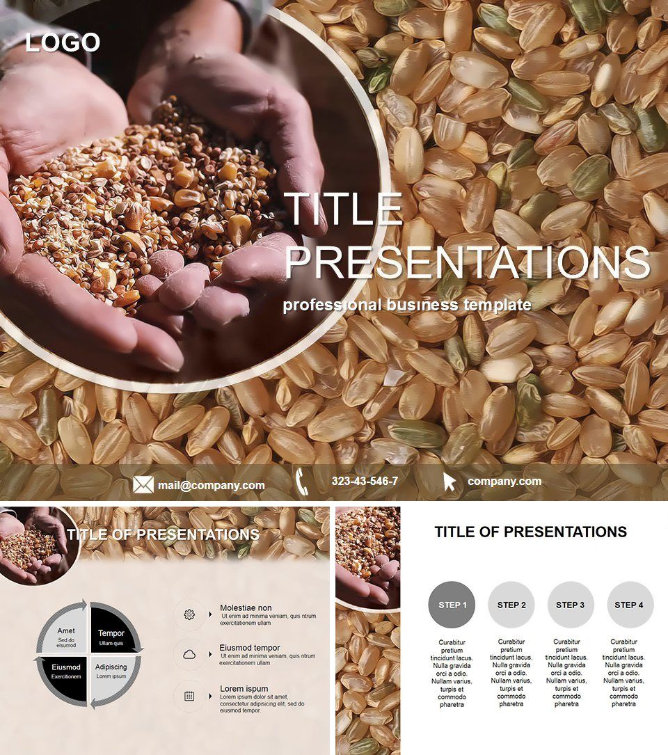 Grain Harvest PowerPoint templates