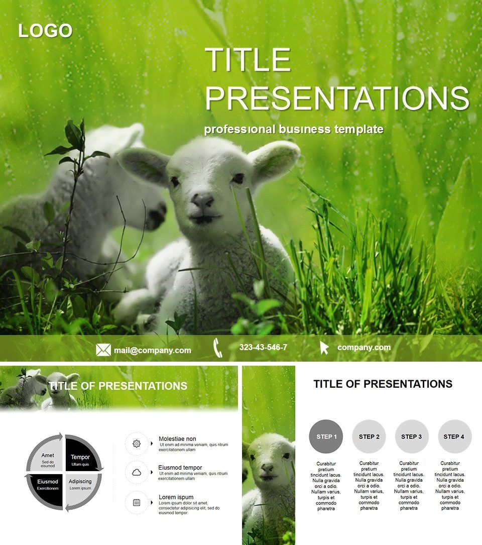 Lamb on Pasture PowerPoint Templates