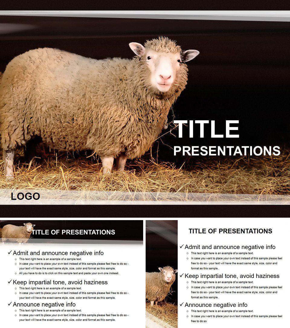 Sheep in Corral PowerPoint Templates