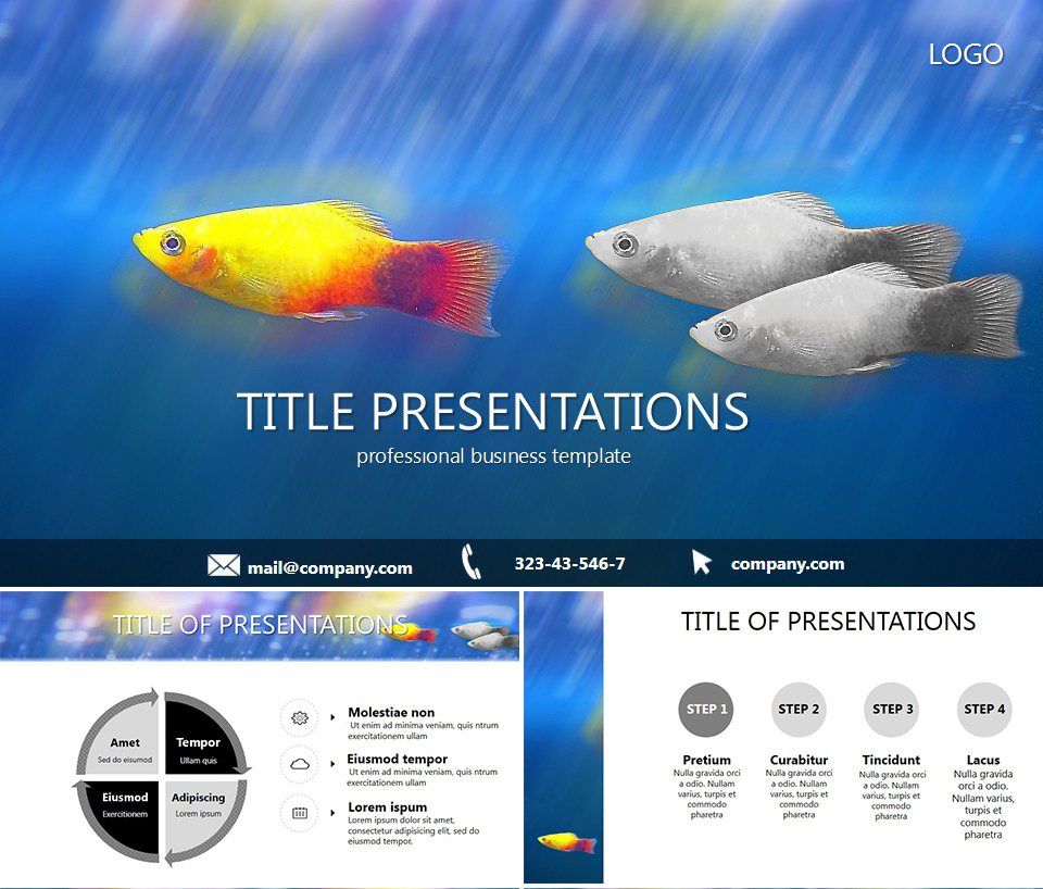 Enhance Your Presentations with Fish-Themed PowerPoint Backgrounds