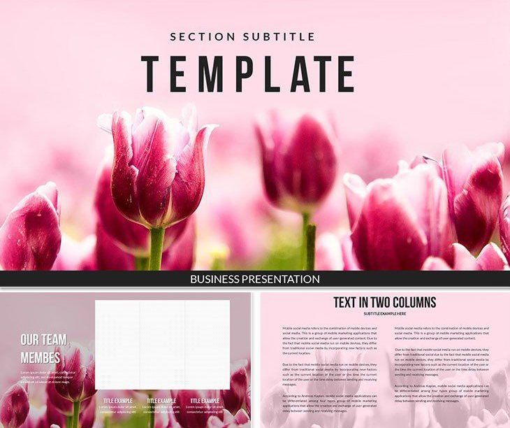 Tulips PowerPoint template