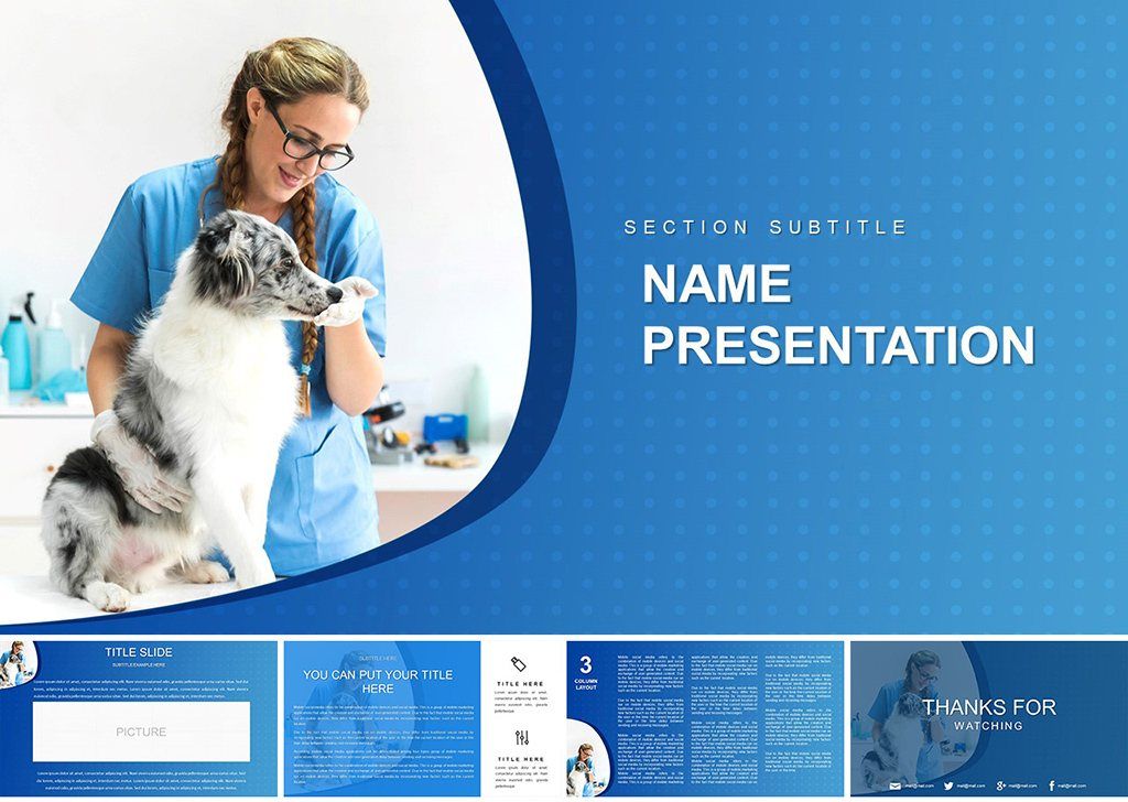 Treatment Of Animals In Veterinary Clinic PowerPoint template
