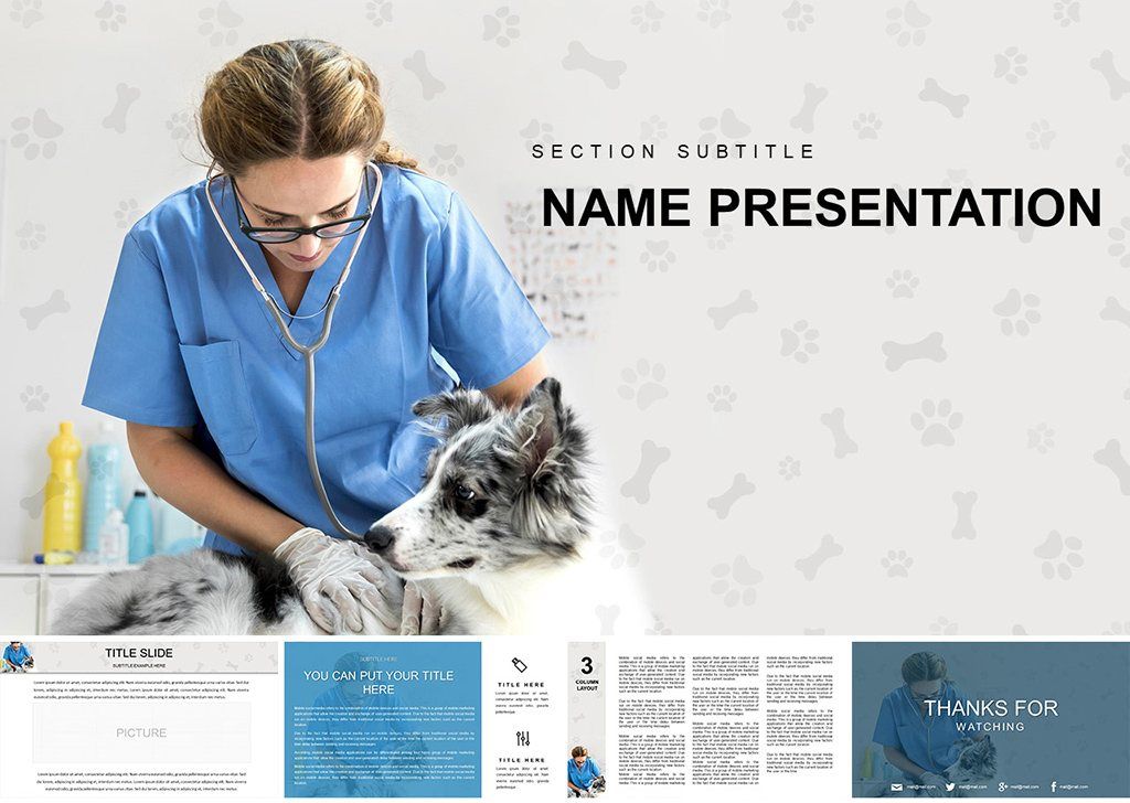 Pet Vet Doctor PowerPoint Template: Presentation