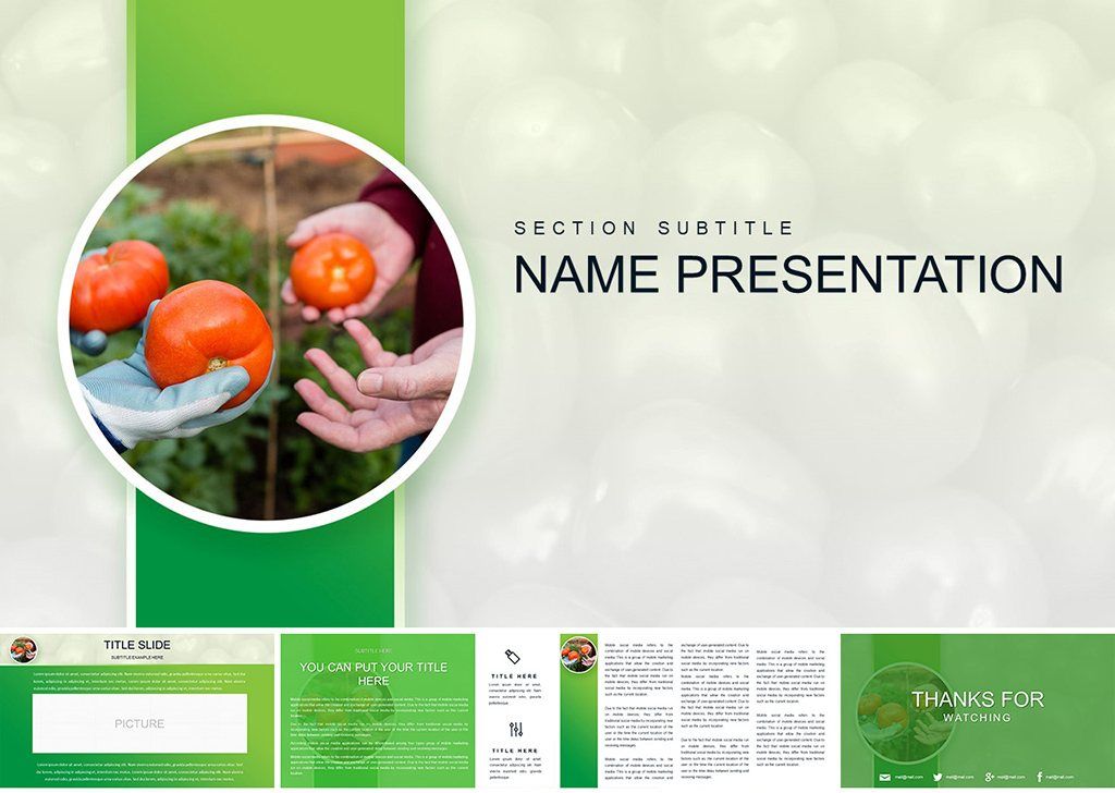 Growing Tomatoes PowerPoint template