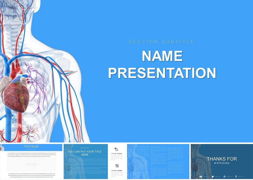 Cardiovascular System PPT Template: 28 Editable Slides
