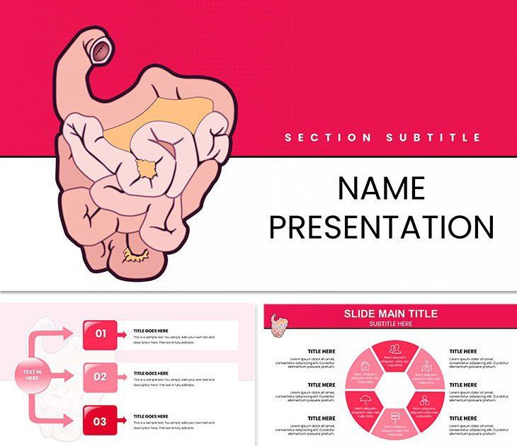 Small Intestine PowerPoint template for presentation