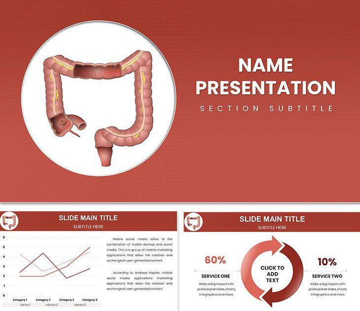 Large Intestine PowerPoint Template: Gut-Level Clarity